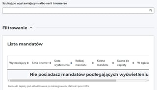 Jak zapłacić mandat online – porady i wskazówki | Moneteo